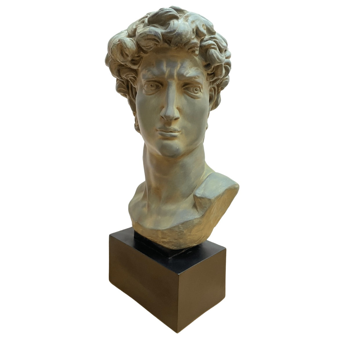 Large Scale Vintage Michelangelo’s David Bust Sculpture on Plinth ...